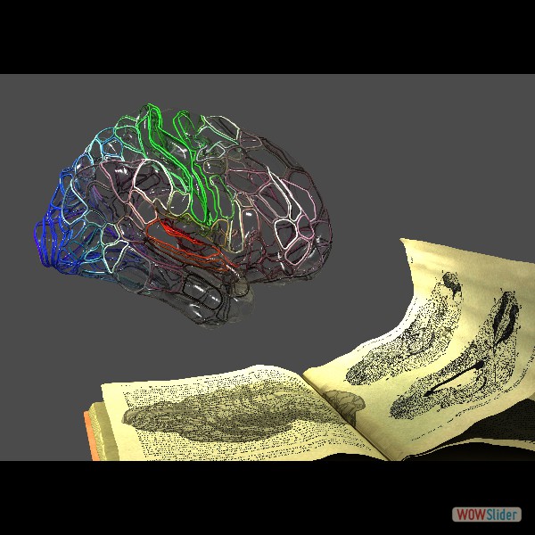 gallery - Michiel Kleinnijenhuis